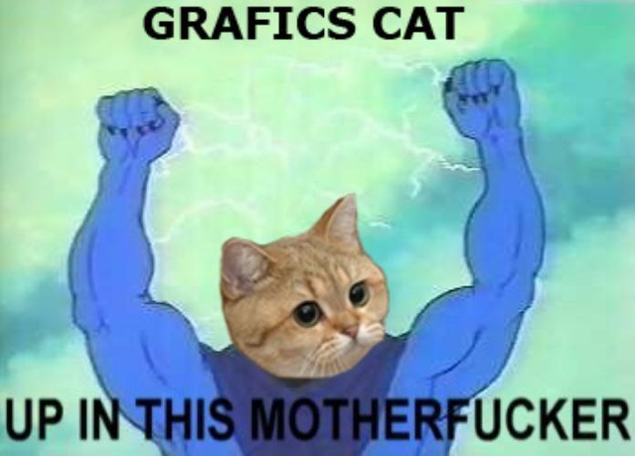 [Image - 93144] | Starecat / Grafics Cat | Know Your Meme