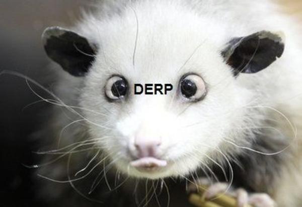 [Image - 93330] | Derp | Know Your Meme