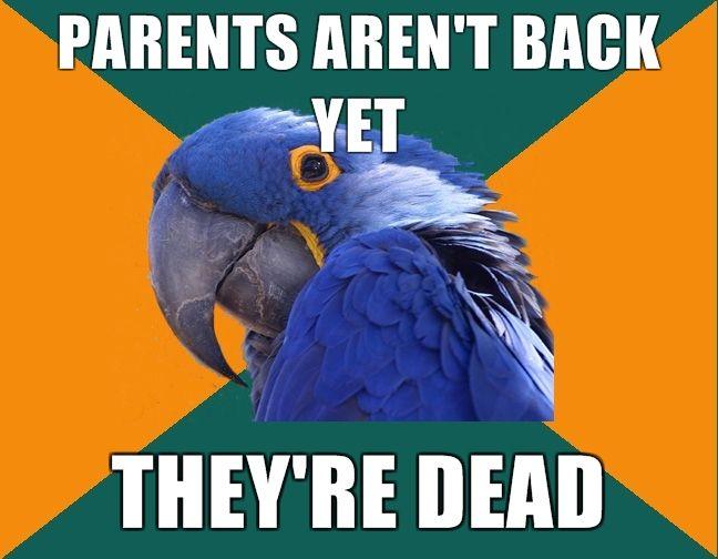 Parents aren't back yet | they're dead | Paranoid Parrot | Know Your Meme