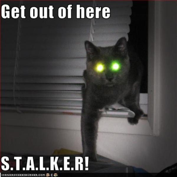 [Image - 95137] | Get Out Of Here, Stalker | Know Your Meme