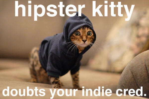 [Image - 95459] | Hipster Kitty | Know Your Meme