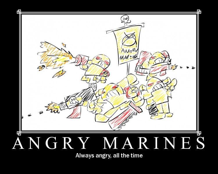 [Image - 95649] | Custom Space Marine Chapters | Know Your Meme