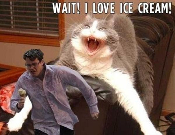 [Image - 96499] | Ice Cream Cone Guy | Know Your Meme