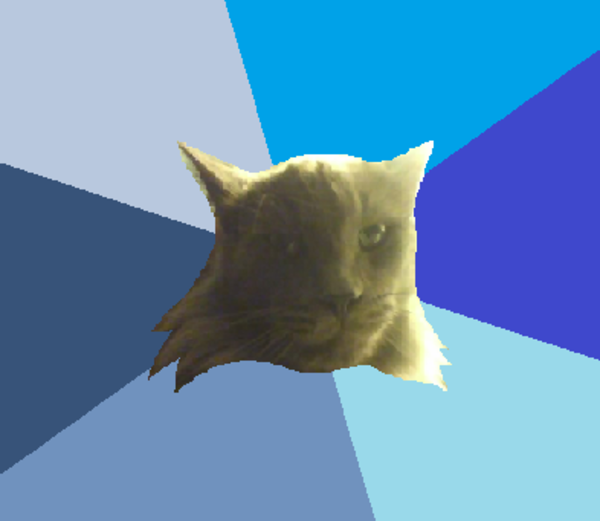 [Image - 96695] | Annoyed Kitty | Know Your Meme