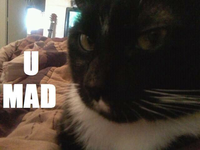 [Image - 97085] | U MAD? | Know Your Meme