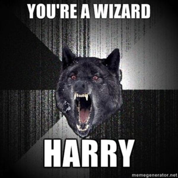 [Image - 102669] | You're a Wizard, Harry! | Know Your Meme