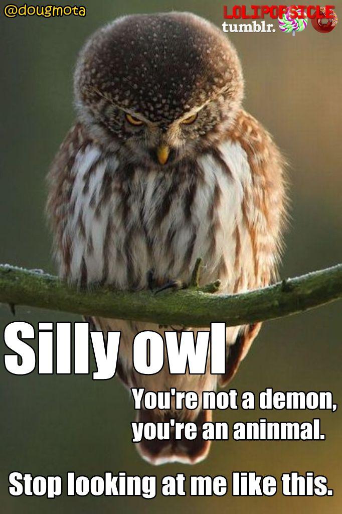 [Image - 103296] | O RLY? | Know Your Meme