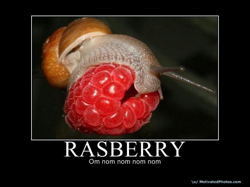 [Image - 106155] | Om Nom Nom Nom | Know Your Meme