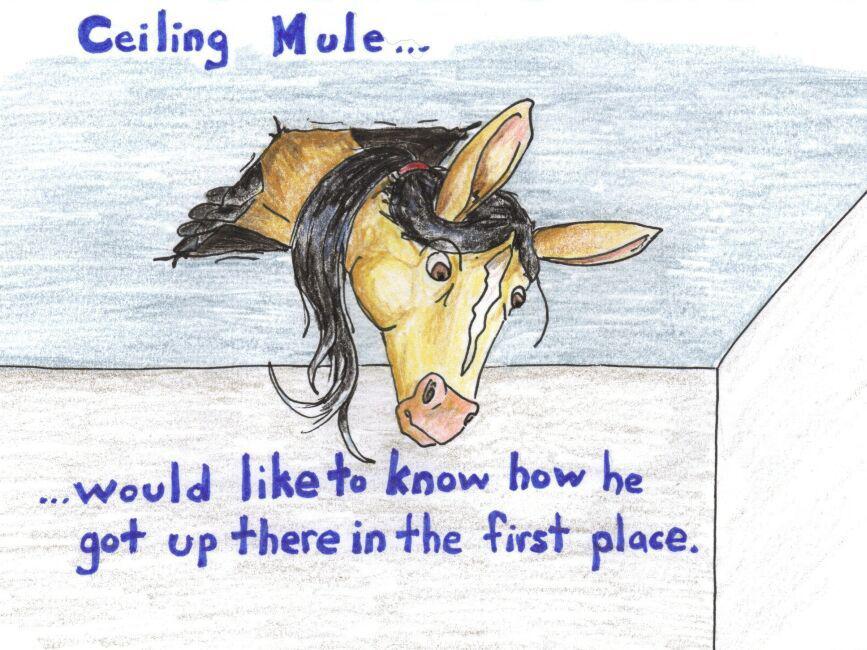 Ceiling Mule | Ceiling Cat | Know Your Meme