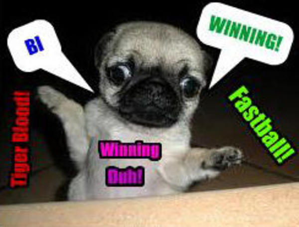 [Image - 107014] | Winning Dog | Know Your Meme