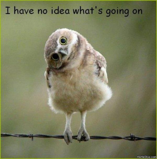 [Image - 107966] | I Have No Idea | Know Your Meme