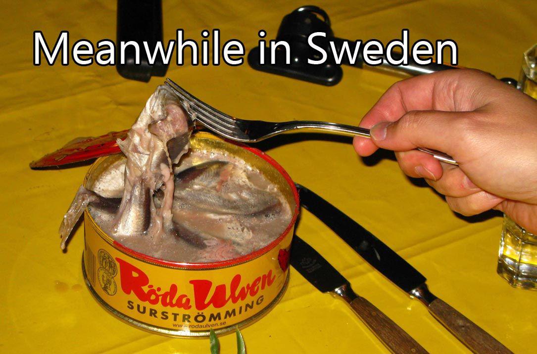 [Image - 107983] | Meanwhile in... | Know Your Meme