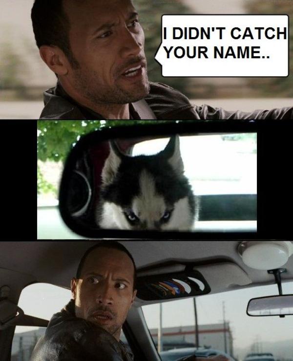 [Image - 110558] | The Rock Driving | Know Your Meme