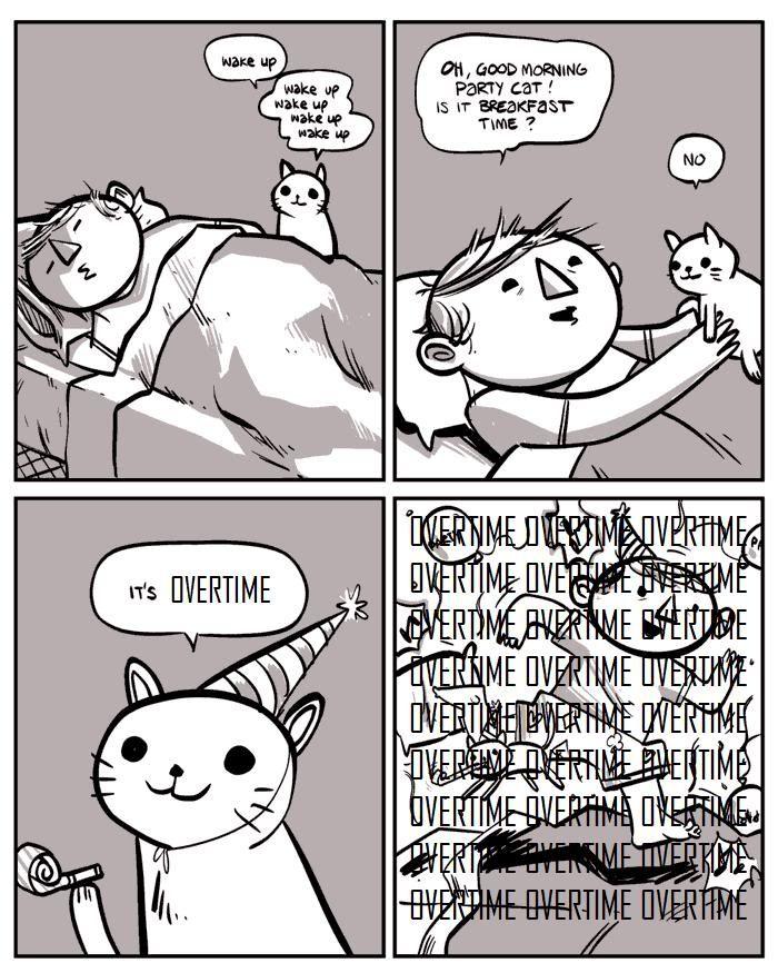 [Image - 111596] | Party Cat | Know Your Meme