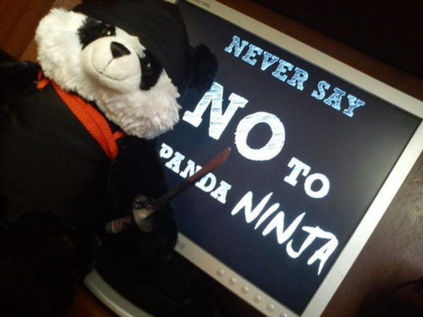 [Image - 112139] | Never Say No to Panda | Know Your Meme