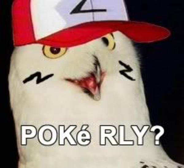 [Image - 112292] | O RLY? | Know Your Meme