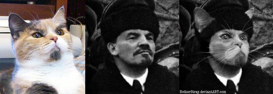 [Image - 112621] | Lenin Cat | Know Your Meme