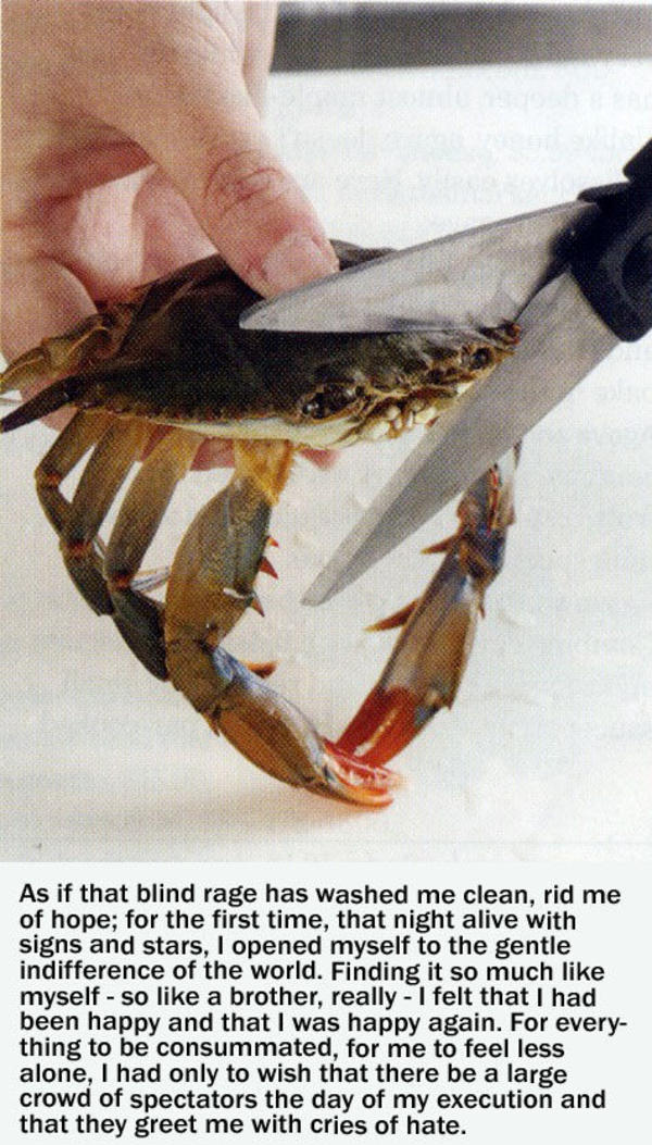 [Image - 112853] | This Kills The Crab | Know Your Meme