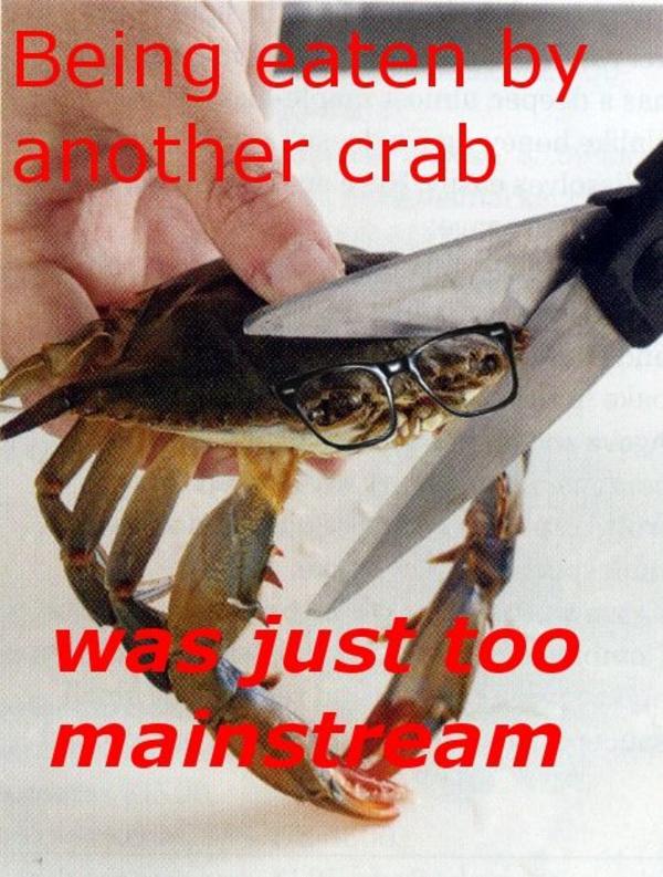 [Image - 112880] | This Kills The Crab | Know Your Meme