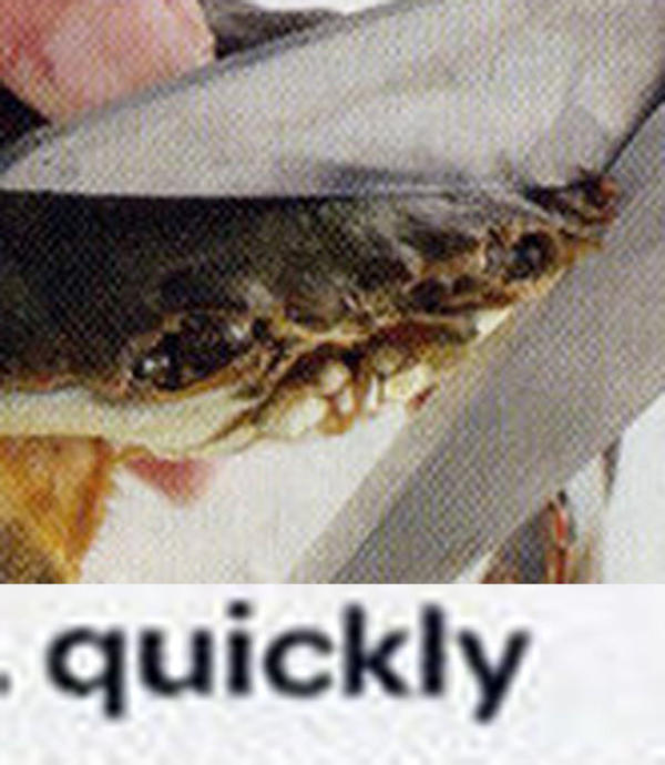 [Image - 113235] | This Kills The Crab | Know Your Meme