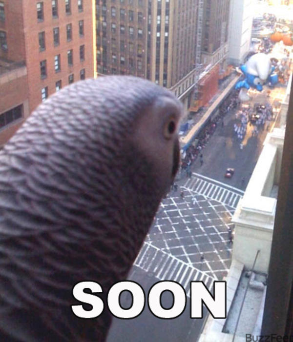 [Image - 117028] | SOON | Know Your Meme