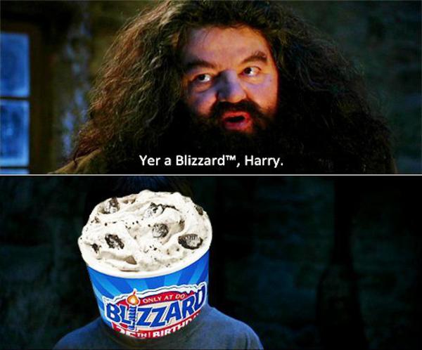 [Image - 117392] | You're a Wizard, Harry! | Know Your Meme