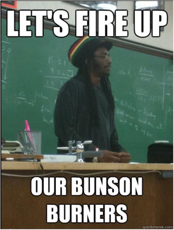 [Image - 117455] | Rasta Science Teacher | Know Your Meme