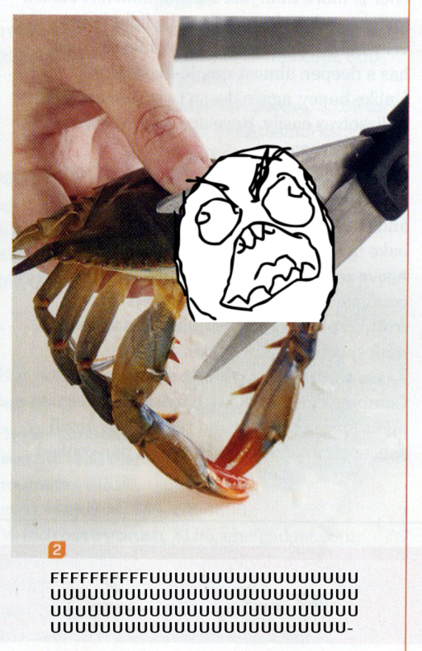 [Image - 118512] | This Kills The Crab | Know Your Meme
