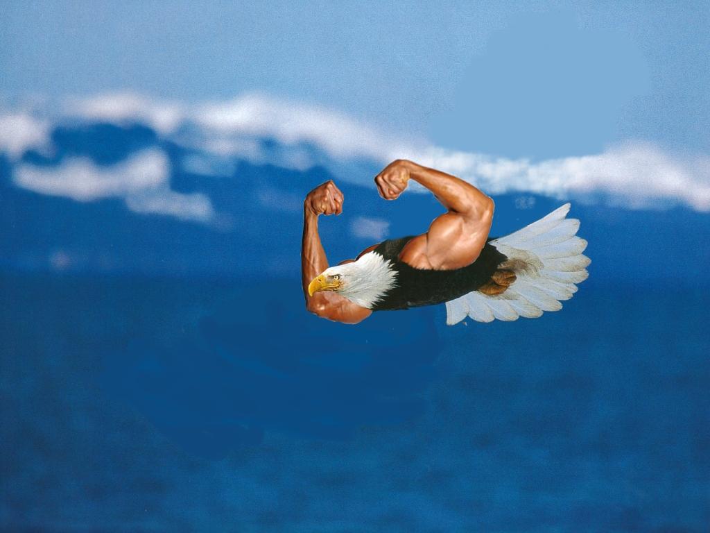 [Image - 118731] | Birds with Arms | Know Your Meme