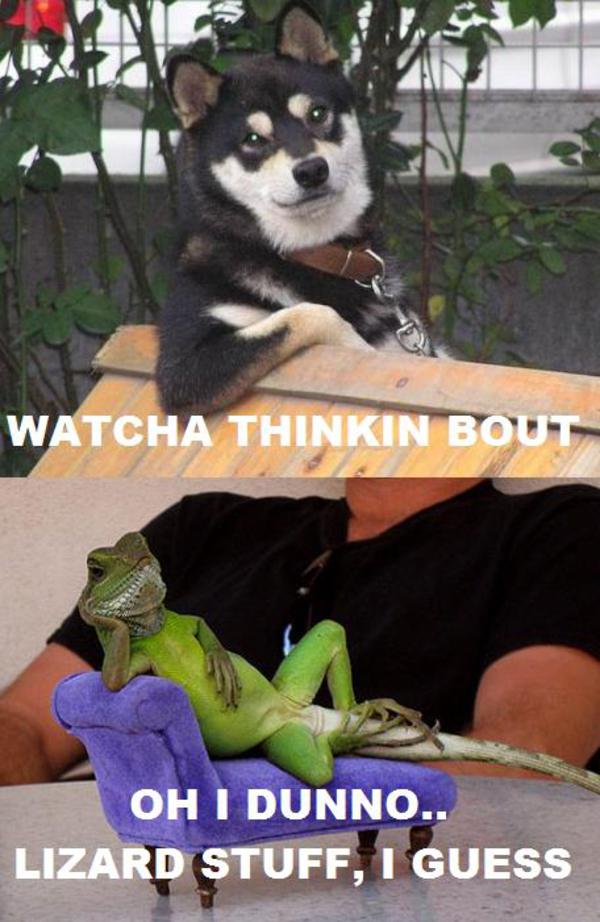 [Image - 118867] | Whatcha Thinkin Bout? | Know Your Meme