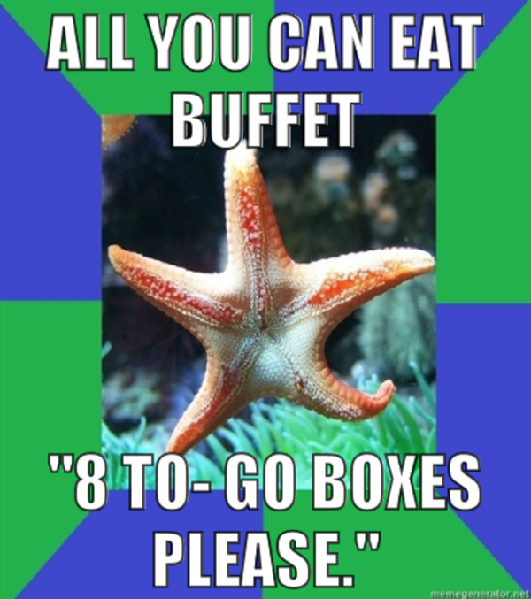 [Image - 119544] | stingy starfish | Know Your Meme