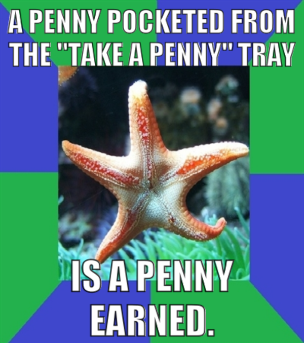 [Image - 119549] | stingy starfish | Know Your Meme