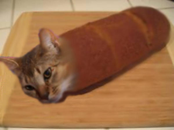 [Image - 121043] | CatBread / Nekopan | Know Your Meme