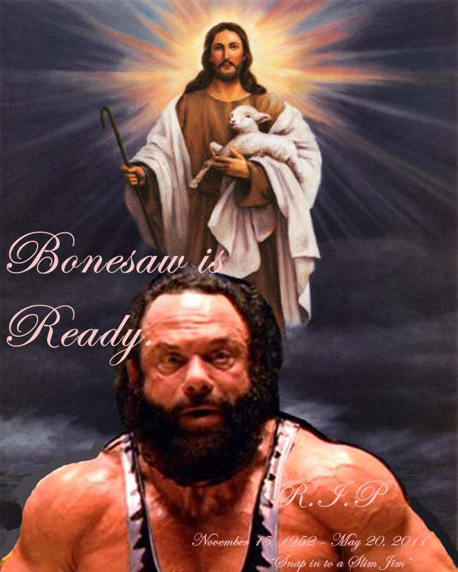 [Image - 125886] | Where's Randy Savage? | Know Your Meme