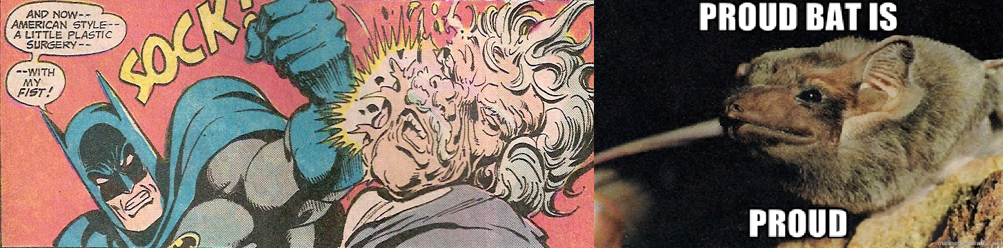 [Image - 126444] | proud bat | Know Your Meme