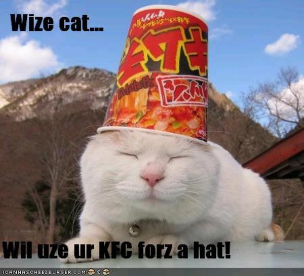 [Image - 127262] | Wize cat... | Know Your Meme