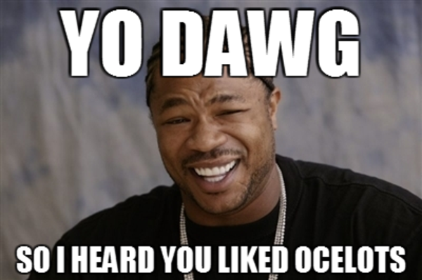 [Image - 128552] | I Like Ocelots | Know Your Meme