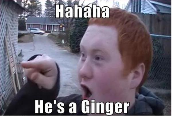 [Image - 133024] | Gingers Do Have Souls! | Know Your Meme