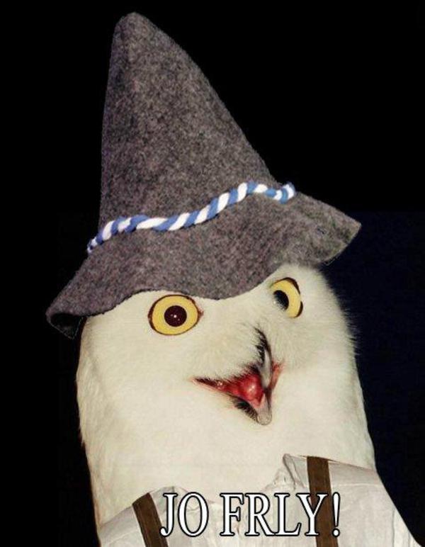 [Image - 134063] | O RLY? | Know Your Meme