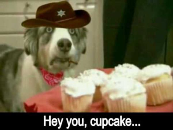 [Image - 136105] | Cupcake Dog | Know Your Meme