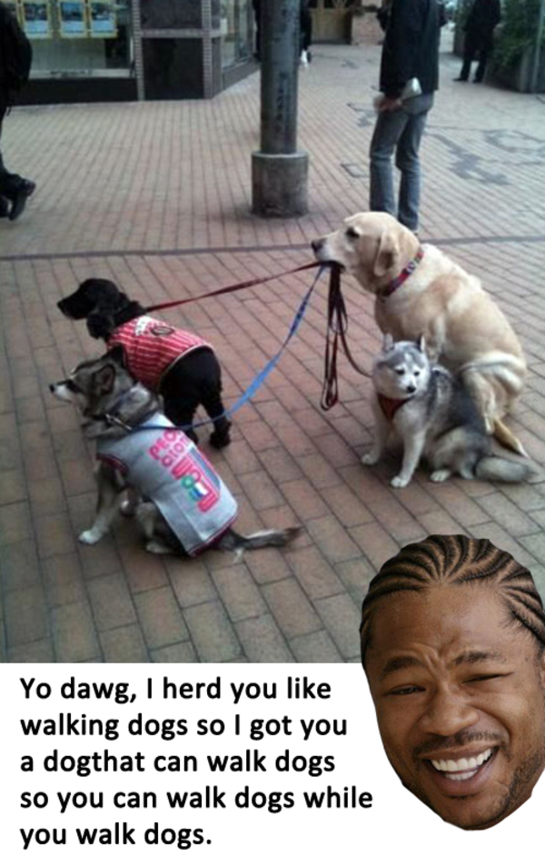 [Image - 136393] | Xzibit Yo Dawg | Know Your Meme