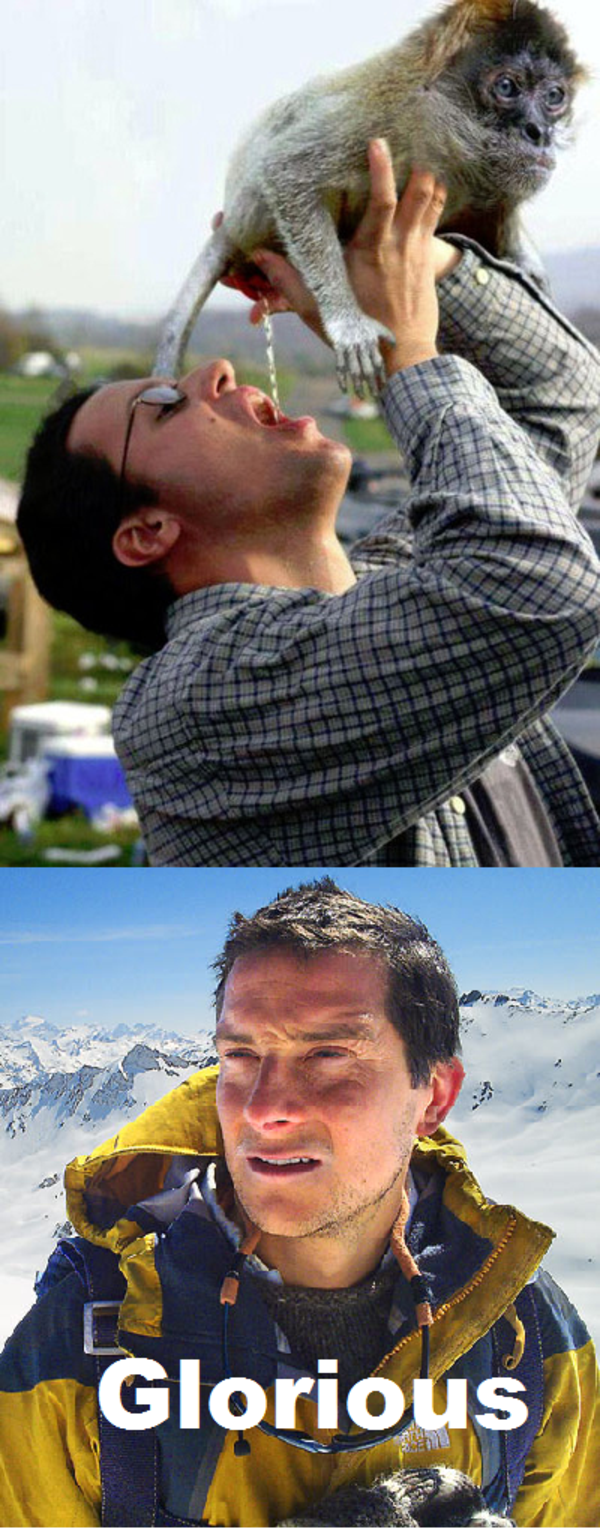 Man Vs Wild Meme