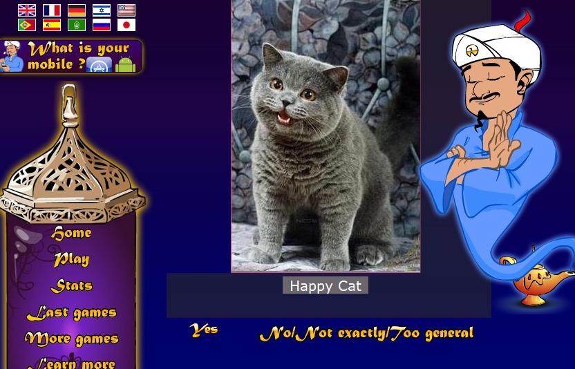 [Image - 140296] | Akinator | Know Your Meme