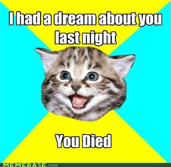 [Image - 143824] | Happy Kitten | Know Your Meme