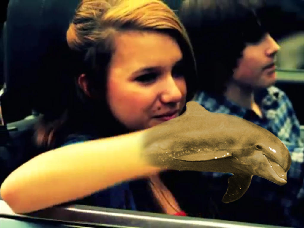 [Image - 146327] | My Hand is a Dolphin | Know Your Meme