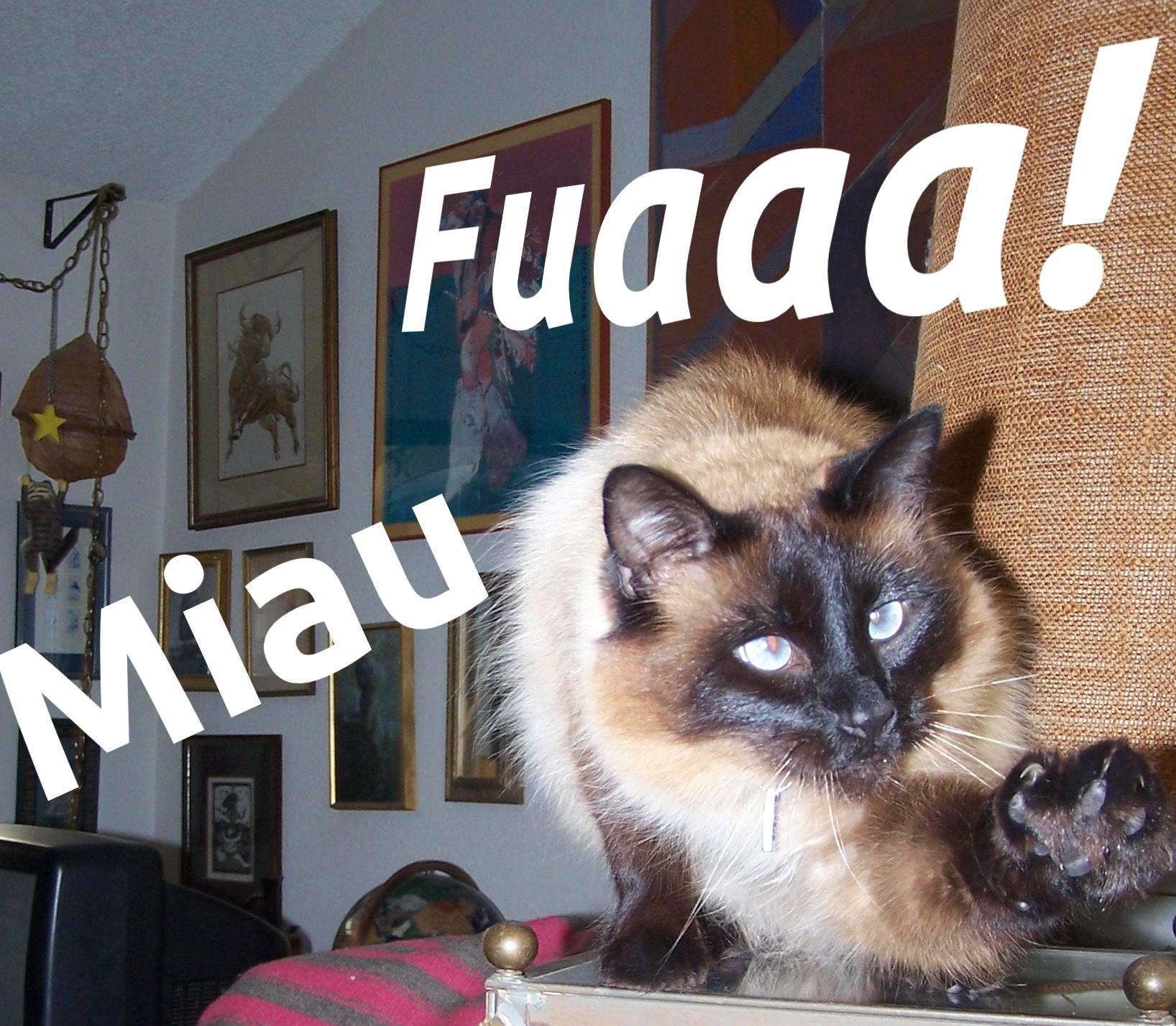 [Image - 148756] | El Fua | Know Your Meme