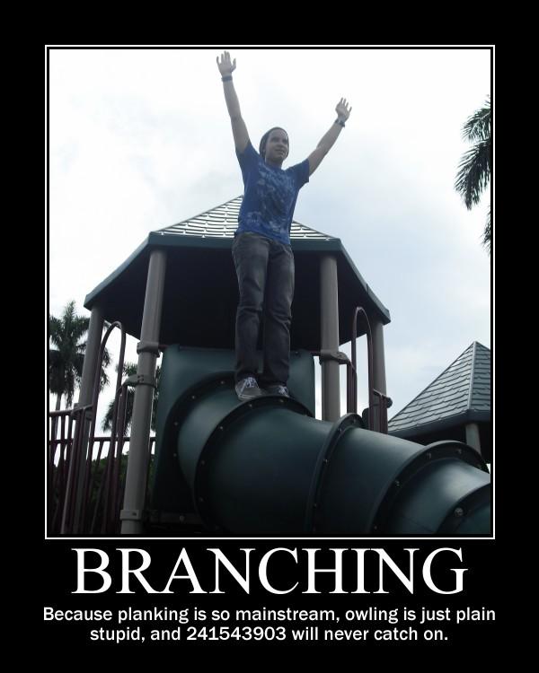 [Image - 155051] | Planking | Know Your Meme