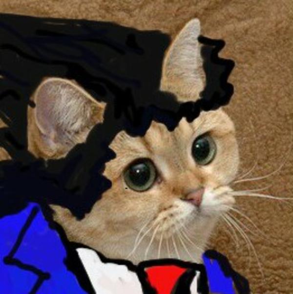 [Image - 156035] | Starecat / Grafics Cat | Know Your Meme