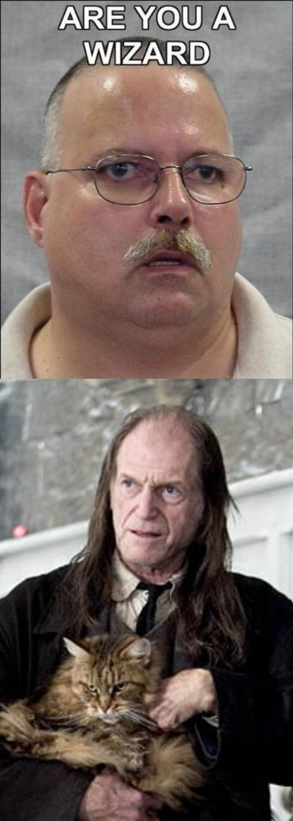 [Image - 157117] | Are You A Wizard | Know Your Meme