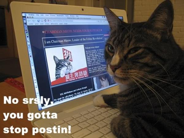 [Image - 157778] | Stop Posting | Know Your Meme